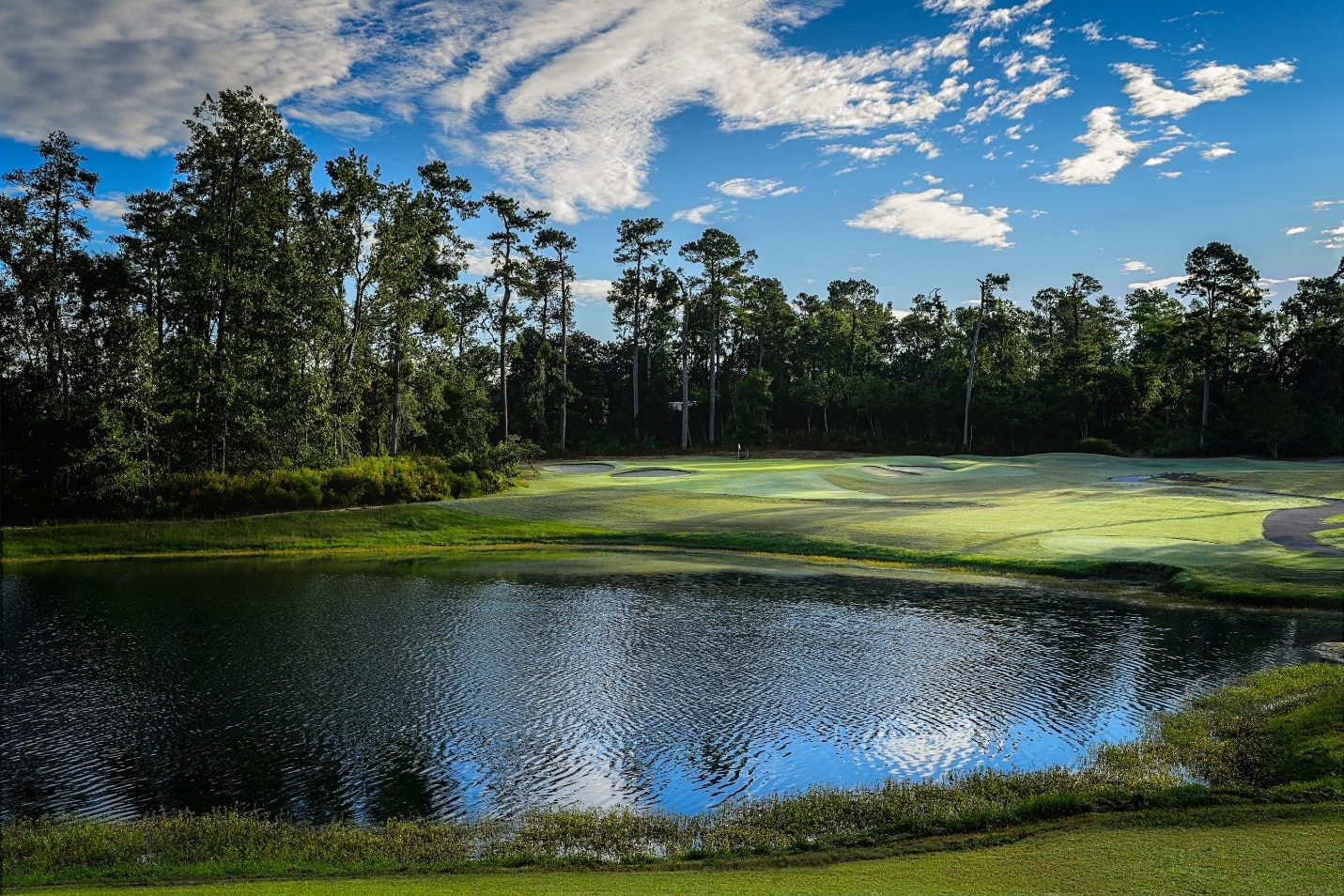 Post-Helene Tale of Augusta's Forest Hills GC - Spike on Golf & Travel ...